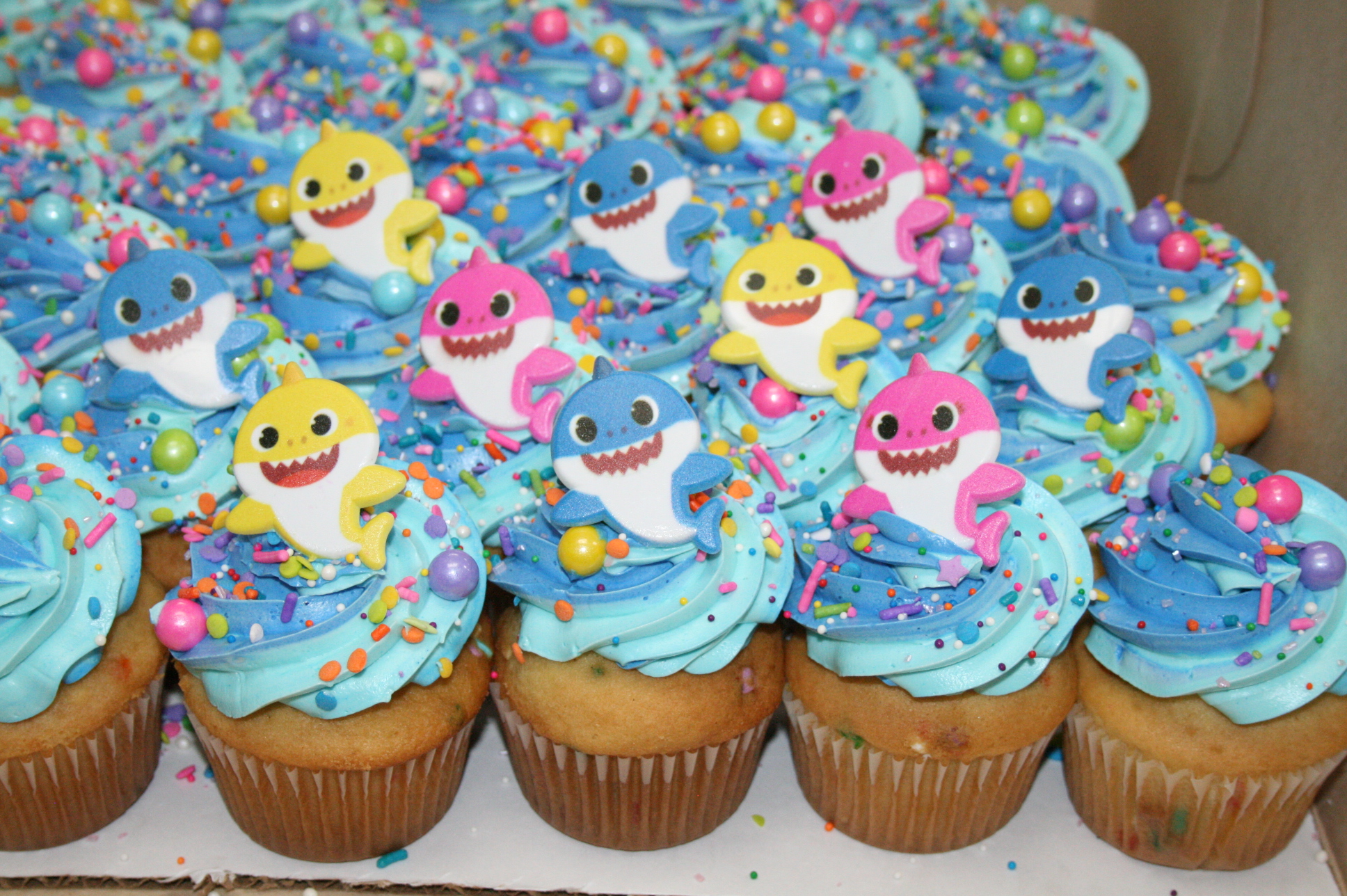 Shark Cupcakes